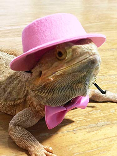 Valentine's Day Lizard Leash Harness Hat Bowtie Set - Bearded Dragon Valentine's Day Hat+Bowtie+3 Pack Reptile Harness Leash for Bearded Dragon Iguana Amphibians Small Animal Clothes Outfit (Pink)