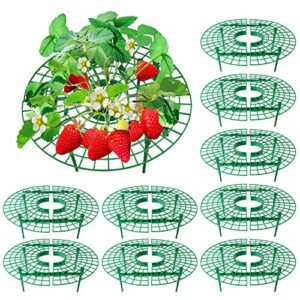 angtuo 10 pack strawberry supports for garden strawberry plant support strawberry stand holder strawberry racks growing frame