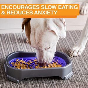 Neater Pets - Neat-LIK with Mess-Proof Tray Keeps Floors Clean - Slow Feeding Pad for Dogs & Cats - Relieves Anxiety & Cures Boredom - Fill Licking Pad with Treats & Food (Purple & Gunmetal)