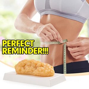 Ultrassist Human Body Fat Model, 1lb Fat Replica, Anatomical Model for Students, Authentic Demonstration for Fitness Room