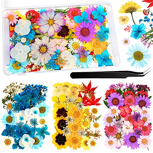 110 Pieces Dried Pressed Flower Leaves with Box and Curved Tweezers Set Assorted Natural Daisy Flowers DIY Real Dry Flowers for Candle Decoration, Resin Epoxy, Jewelry Crafts Making