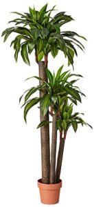 amazon basics artificial dracaena tree with plastic faux terracotta pot, 60-inch