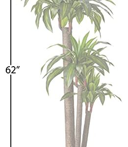 Amazon Basics Artificial Dracaena Tree with Plastic Faux Terracotta Pot, 60-Inch