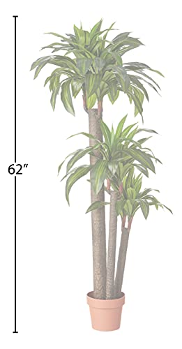 Amazon Basics Artificial Dracaena Tree with Plastic Faux Terracotta Pot, 60-Inch