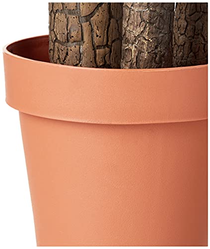 Amazon Basics Artificial Dracaena Tree with Plastic Faux Terracotta Pot, 60-Inch