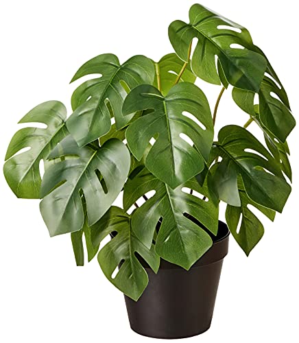 Amazon Basics Artificial Monstera Plant with Plastic Nursery Pot, 13-Inch