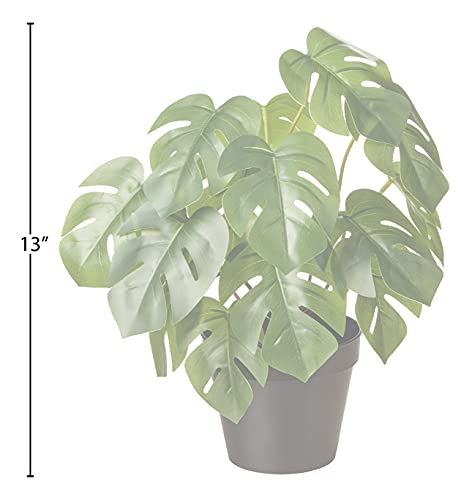 Amazon Basics Artificial Monstera Plant with Plastic Nursery Pot, 13-Inch