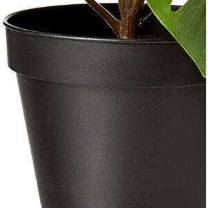 Amazon Basics Artificial Monstera Plant with Plastic Nursery Pot, 13-Inch