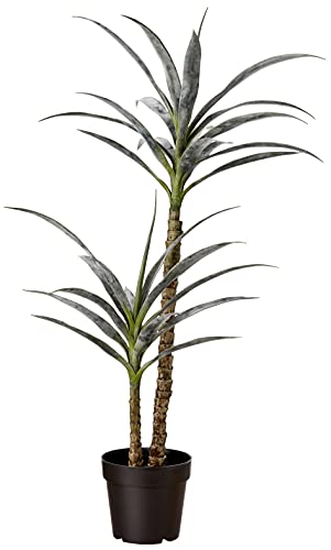 Amazon Basics Artificial Yucca Plant with Plastic Nursery Pot, 40-Inch