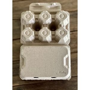 Henlay Duck Egg Cartons- Holds Half Dozen Jumbo Eggs- Blank Top (20)