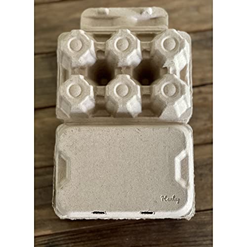 Henlay Duck Egg Cartons- Holds Half Dozen Jumbo Eggs- Blank Top (20)