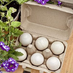 Henlay Duck Egg Cartons- Holds Half Dozen Jumbo Eggs- Blank Top (20)