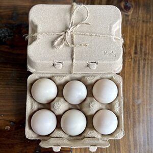 Henlay Duck Egg Cartons- Holds Half Dozen Jumbo Eggs- Blank Top (20)