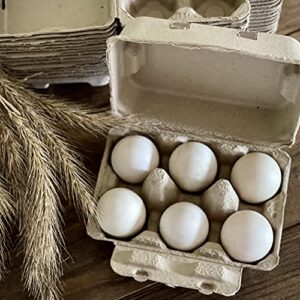 Henlay Duck Egg Cartons- Holds Half Dozen Jumbo Eggs- Blank Top (20)