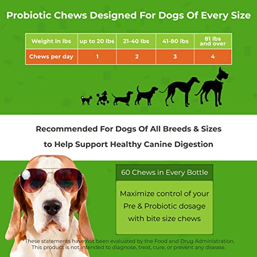 PawMedica Dog Probiotics and Digestive Enzymes, Probiotics for Dogs Made in USA, Pet Probiotic Chews for Dogs, Prebiotics & Probiotic Dog Digestive Support, Probiotic Treats - 60 Dog Probiotic Chews