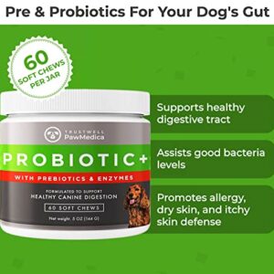 PawMedica Dog Probiotics and Digestive Enzymes, Probiotics for Dogs Made in USA, Pet Probiotic Chews for Dogs, Prebiotics & Probiotic Dog Digestive Support, Probiotic Treats - 60 Dog Probiotic Chews