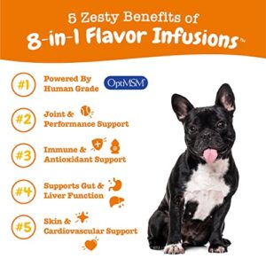 Zesty Paws 8-in-1 Flavor Infusions for Dogs - Glucosamine, Chondroitin, and MSM for Pet Hip & Joint Health - Omega 3 Fish Oil for Skin - for Dog Gut, Immune, Heart, Kidney & Liver Support - 16 fl oz