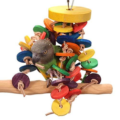 Tropical Circles - Small/Medium Parrot Wood Toy