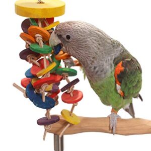 Tropical Circles - Small/Medium Parrot Wood Toy