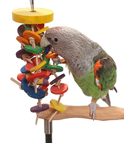 Tropical Circles - Small/Medium Parrot Wood Toy