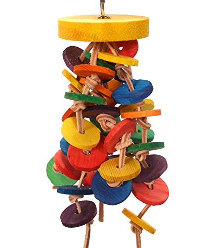 Tropical Circles - Small/Medium Parrot Wood Toy