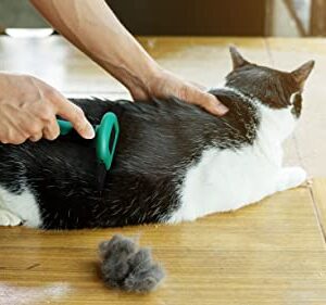 Ruff 'N Ruffus Deshedding Brush for Dogs & Cats - Reduces Shedding by up to 95% with Detachable Head & Non-Slip Grip, Comes with Free Nail Clippers, Suitable for All Breeds