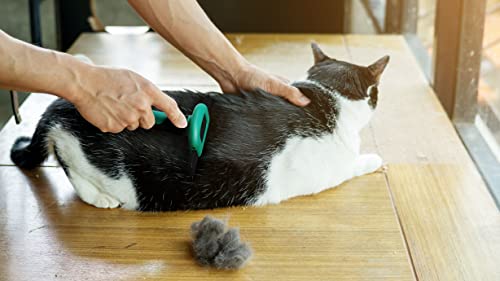 Ruff 'N Ruffus Deshedding Brush for Dogs & Cats - Reduces Shedding by up to 95% with Detachable Head & Non-Slip Grip, Comes with Free Nail Clippers, Suitable for All Breeds