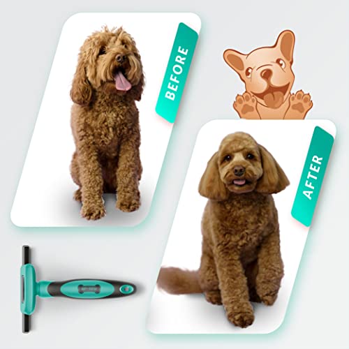 Ruff 'N Ruffus Deshedding Brush for Dogs & Cats - Reduces Shedding by up to 95% with Detachable Head & Non-Slip Grip, Comes with Free Nail Clippers, Suitable for All Breeds