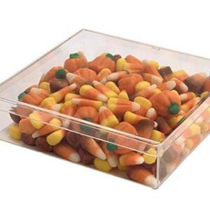 Pioneer Plastics 062C Clear Square Plastic Container, 5.25" W x 5" D x 1.375" H