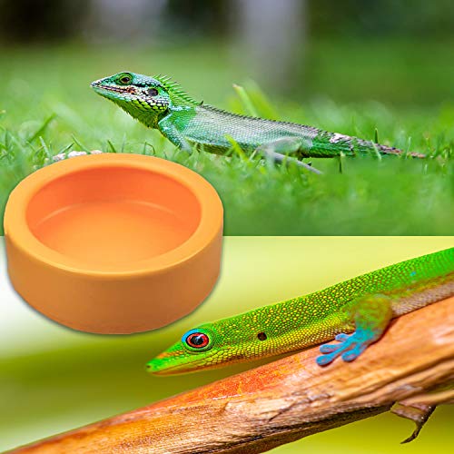 2 Pack Worm Dish Reptile Food Bowl Bearded Dragon Ceramic Bowl with Feeding Tongs (Yellow-Large)