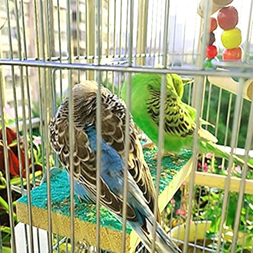 Hamiledyi Bird Perches Natural Wood Parrot Stand Platform Set 7 Pack Wooden Parakeet Paw Grinding Stick Cage Accessories Exercise Toys for Cockatiels Conure Budgies Lovebird Rat Gerbil Hamster Play