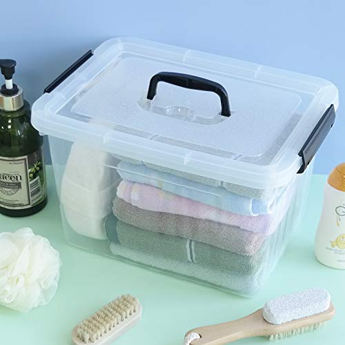 Nicesh 1-Pack Plastic Storage Box, Clear Latch Box with Handle and Lid, 10 L