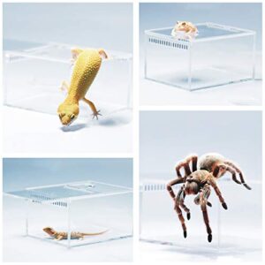 2 Pack Acrylic Reptile Terrarium Insect Tarantula Enclosure Tank Snail Spider Habitat Cage Mini Critter Keeper Insect Carrier Transparent Reptile Isopods Lizards Roach Invertebrates Insect Feeding Box