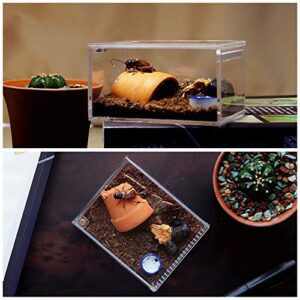 2 Pack Acrylic Reptile Terrarium Insect Tarantula Enclosure Tank Snail Spider Habitat Cage Mini Critter Keeper Insect Carrier Transparent Reptile Isopods Lizards Roach Invertebrates Insect Feeding Box