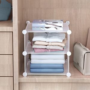 GuanJun Storage Shelf Dividers,Closet Shelf Organizer Divider and Separator for Storage and Organization (White1, 2-Layers)…