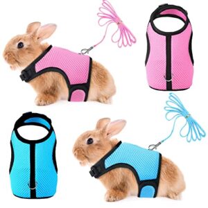 2 pieces bunny rabbit harness with leash cute adjustable buckle breathable mesh vest for kitten puppy small pets walking (blue, pink,m)