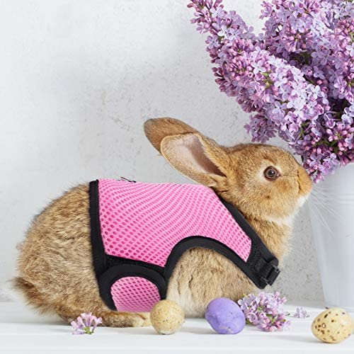 2 Pieces Bunny Rabbit Harness with Leash Cute Adjustable Buckle Breathable Mesh Vest for Kitten Puppy Small Pets Walking (Blue, Pink,M)