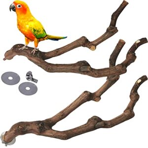 kathson natural parrot perch bird stand pole wild grape stick paw grinding fork parakeet climbing standing branches toy chewable cage accessories for small budgies cockatiels lovebirds 2pcs