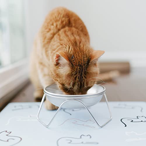 Raised Cat Bowl Stand for Food & Water by Americat – Made in USA – Stainless Steel, Spill-Proof Elevated Feeder, Dishwasher Safe, Human Grade, Whisker Friendly (Bowl + Stand)