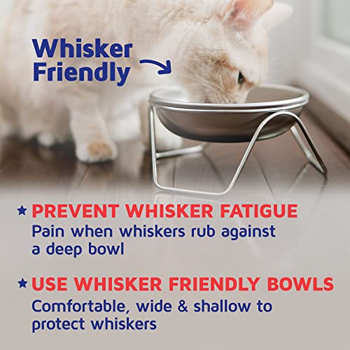 Raised Cat Bowl Stand for Food & Water by Americat – Made in USA – Stainless Steel, Spill-Proof Elevated Feeder, Dishwasher Safe, Human Grade, Whisker Friendly (Bowl + Stand)