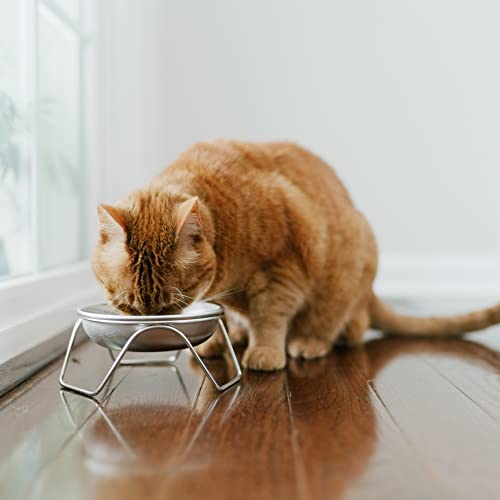 Raised Cat Bowl Stand for Food & Water by Americat – Made in USA – Stainless Steel, Spill-Proof Elevated Feeder, Dishwasher Safe, Human Grade, Whisker Friendly (Bowl + Stand)