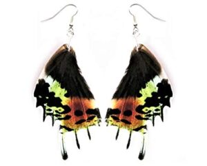 bicbugs urania ripheus pink green sunset moth wing earrings