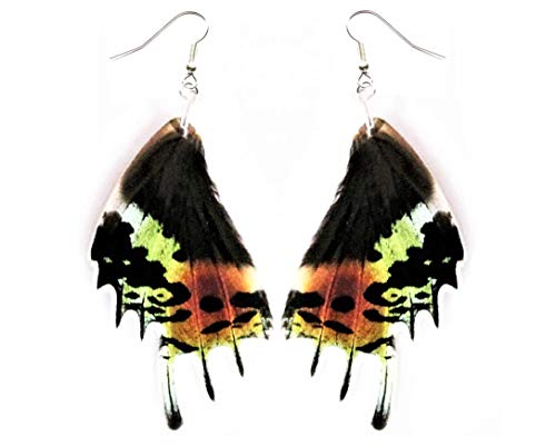 BicBugs Urania ripheus Pink Green Sunset Moth Wing Earrings