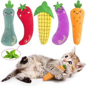 etekyer catnip toys, cat toys, cat toys for indoor cats, catnip toys for cats, cat toys with catnip, interactive cat toy, cat chew toy, cat pillow toys, cat toys for kittens kitty