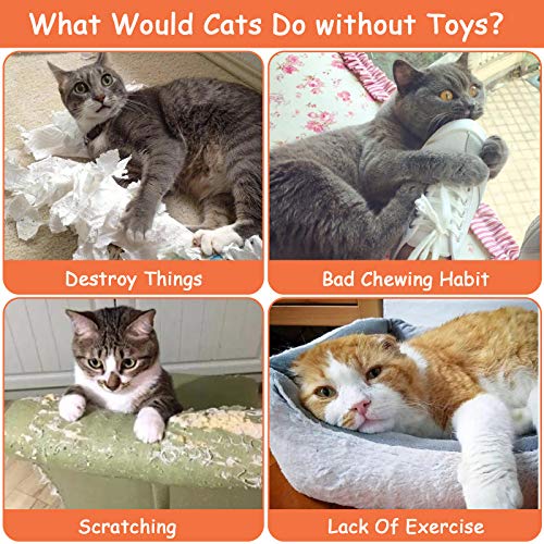 ETEKYER Catnip Toys, Cat Toys, Cat Toys for Indoor Cats, Catnip Toys for Cats, Cat Toys with Catnip, Interactive Cat Toy, Cat Chew Toy, Cat Pillow Toys, Cat Toys for Kittens Kitty