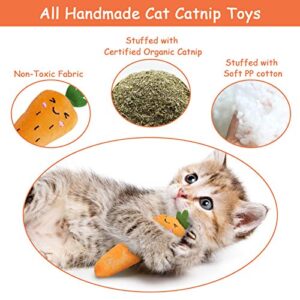 ETEKYER Catnip Toys, Cat Toys, Cat Toys for Indoor Cats, Catnip Toys for Cats, Cat Toys with Catnip, Interactive Cat Toy, Cat Chew Toy, Cat Pillow Toys, Cat Toys for Kittens Kitty