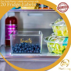 Mint Living Gold Pantry Labels 100 (90 Preprinted +10 Blank) Kitchen Labels - Glossy Water Resistant Sticker for Kitchen & Fridge Pantry Organization Storage Containers Jars Easy Reposition