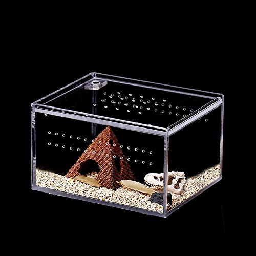 NANEEZOO Acrylic Reptile Breeding Box, 5x4x3 Inch Nano Flat/Long Enclosure Transparent Reptile Breeding Box Terrarium Cage Tank for Tarantula Scorpion Sling Isopods Invertebrates Insect Mantis