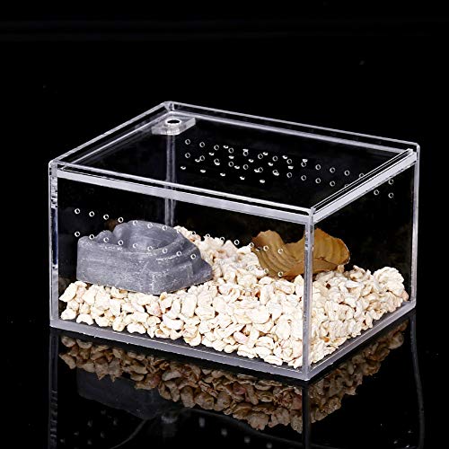 NANEEZOO Acrylic Reptile Breeding Box, 5x4x3 Inch Nano Flat/Long Enclosure Transparent Reptile Breeding Box Terrarium Cage Tank for Tarantula Scorpion Sling Isopods Invertebrates Insect Mantis