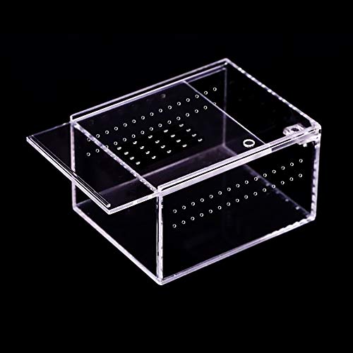 NANEEZOO Acrylic Reptile Breeding Box, 5x4x3 Inch Nano Flat/Long Enclosure Transparent Reptile Breeding Box Terrarium Cage Tank for Tarantula Scorpion Sling Isopods Invertebrates Insect Mantis